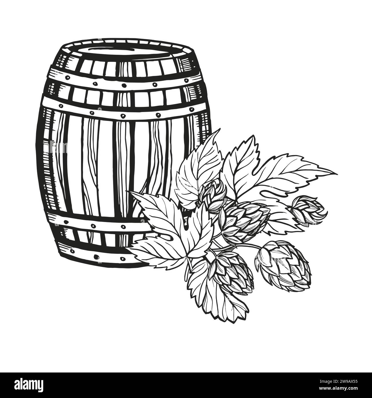 Hand drawn vector sketch of wooden barrel and hop plant with leaves and ...
