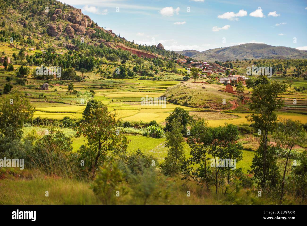 Typical Madagascar landscape in region near Tsiafahy, small hills ...