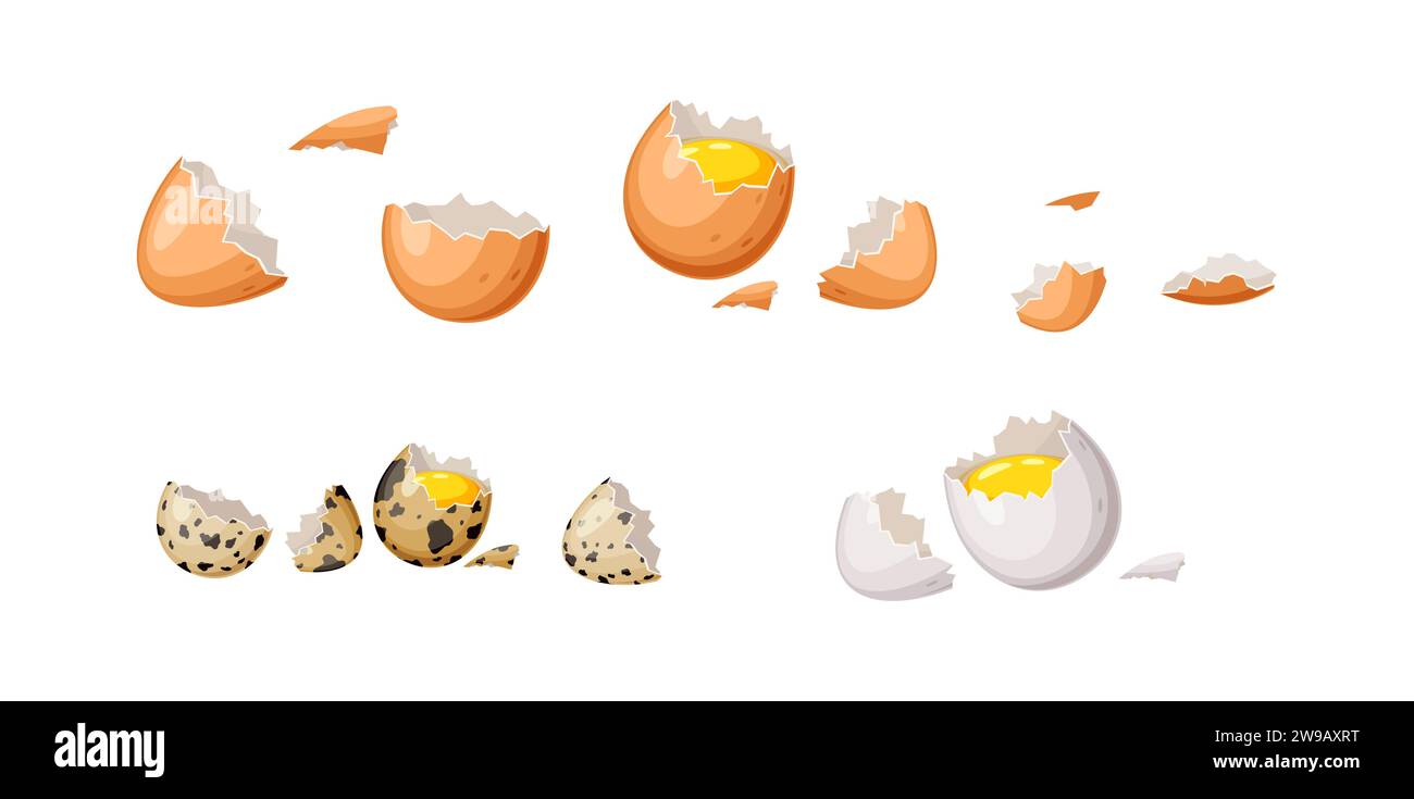 Broken eggs with shell color vector icon set. Eggshell pieces and raw yolk illustrations pack ...