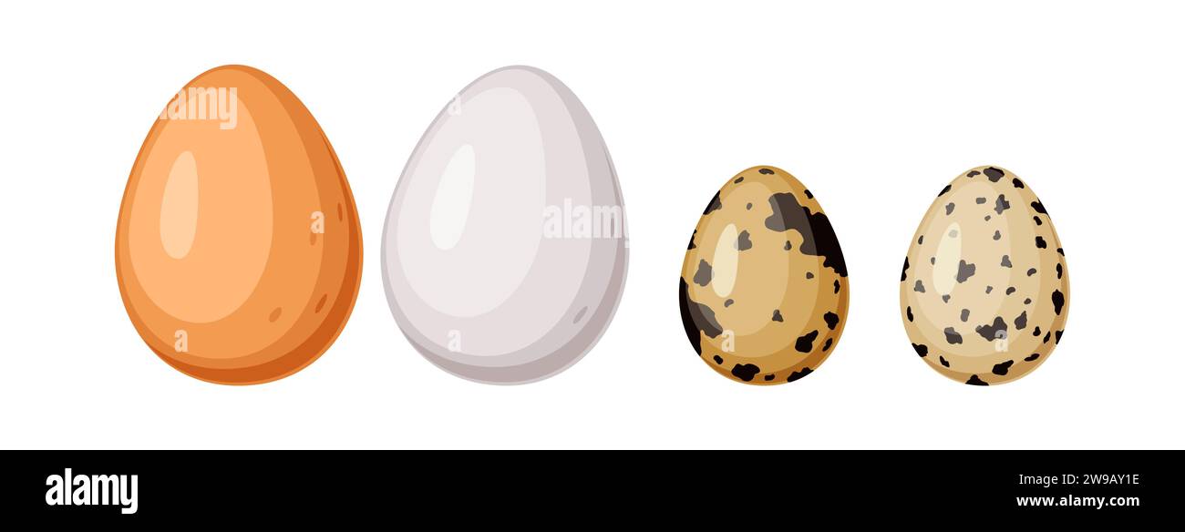 Chicken and quail eggs color vector icon set. Nutrient poultry products ...