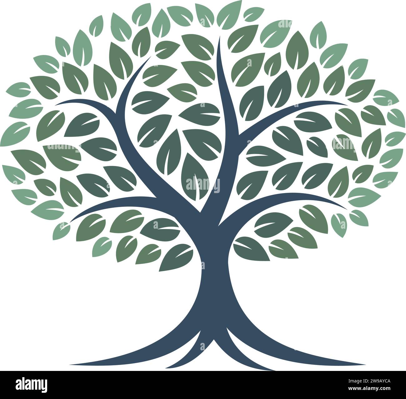 Tree with transparent background Stock Vector Image & Art - Alamy
