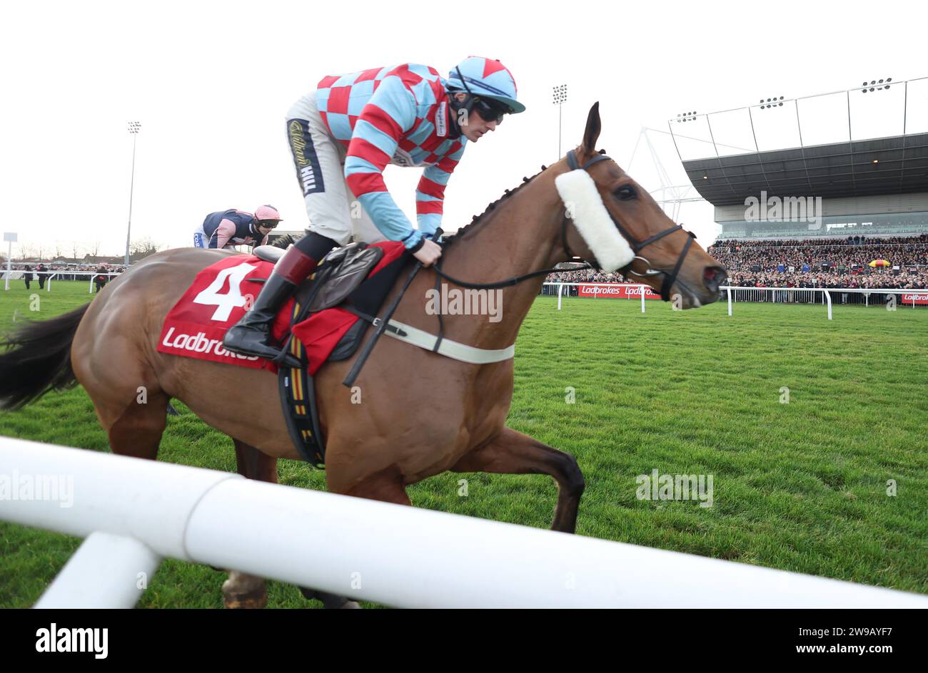 Kilbeg king horse hi-res stock photography and images - Alamy