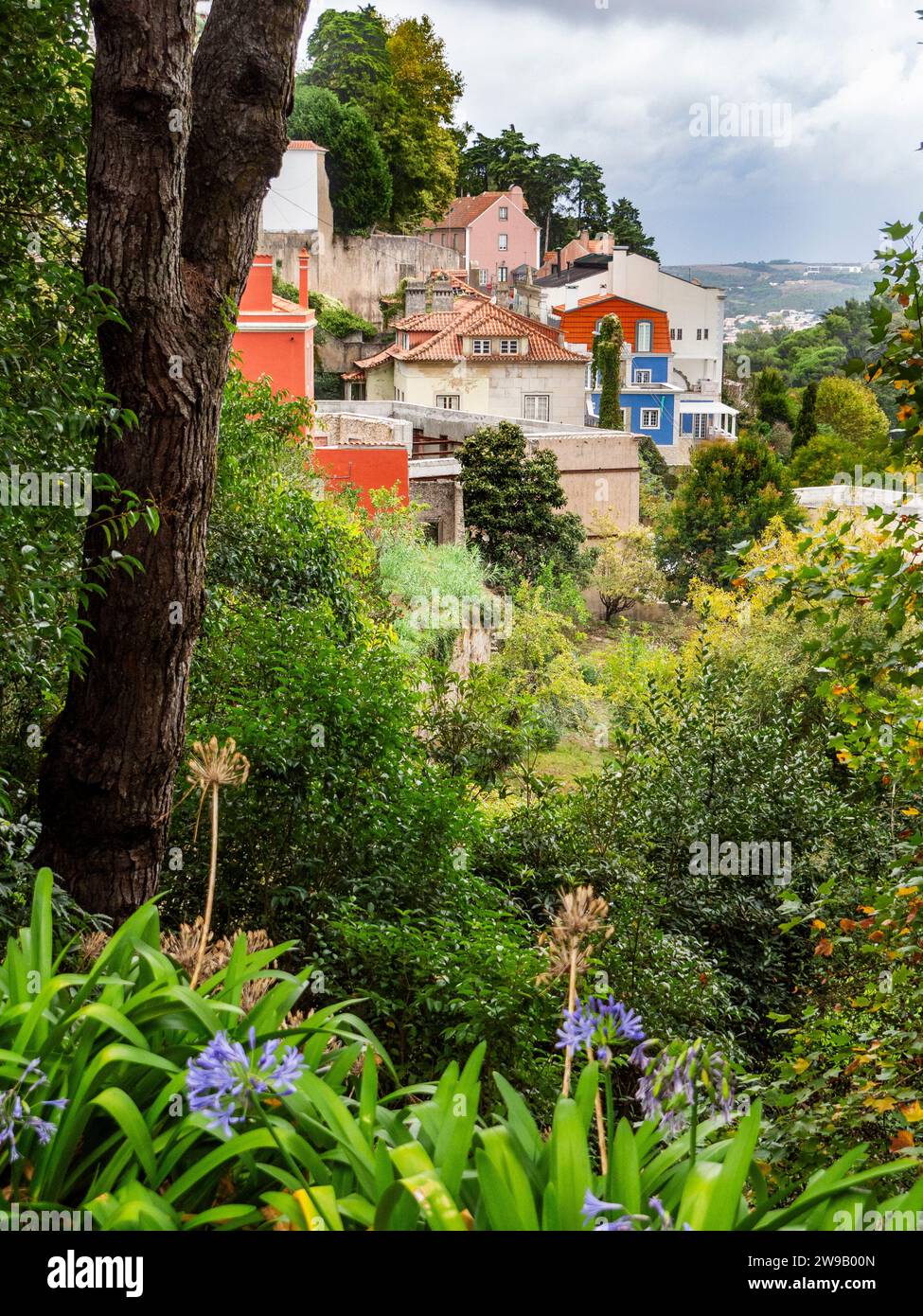 Colorful buildings in the town of Sintra in Portugal Stock Photo - Alamy