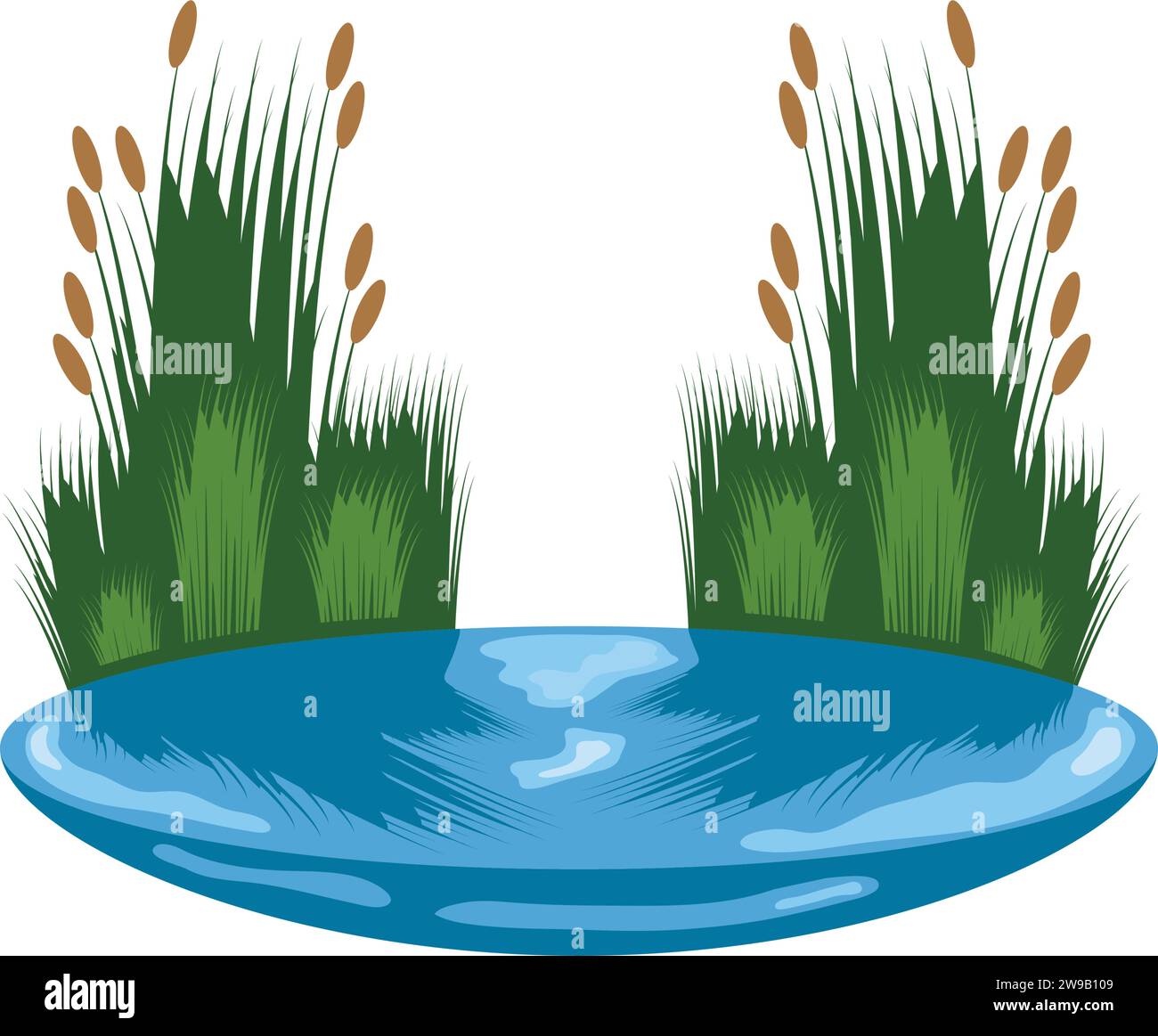 wetland vegetation illustration Stock Vector Image & Art - Alamy