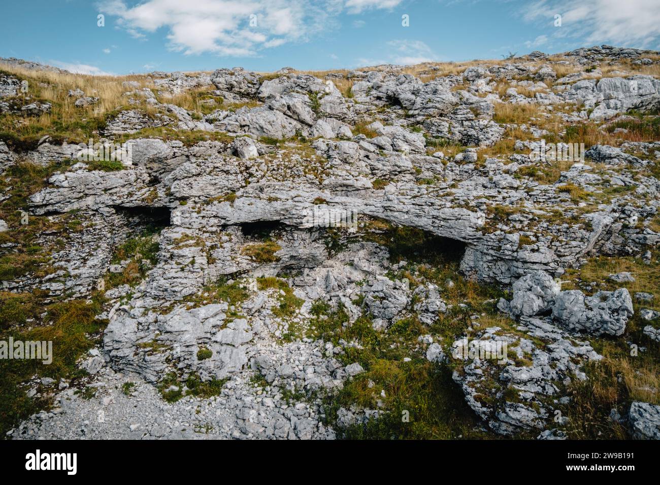 View of the alpine meadows of the Font d'Urle plateau in the Vercors ...