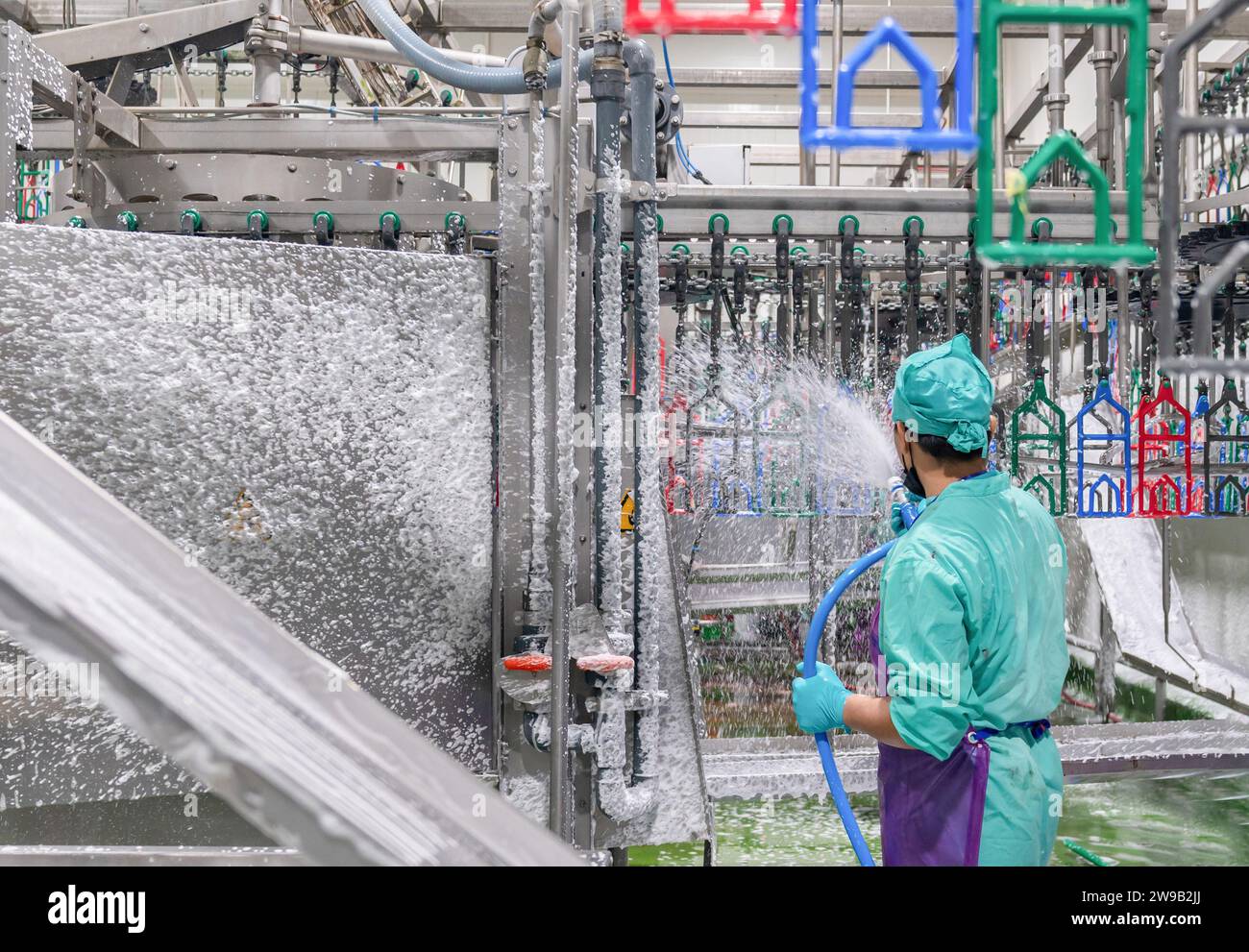 Worker disinfecting interior of a butchery in poultry factory Stock ...