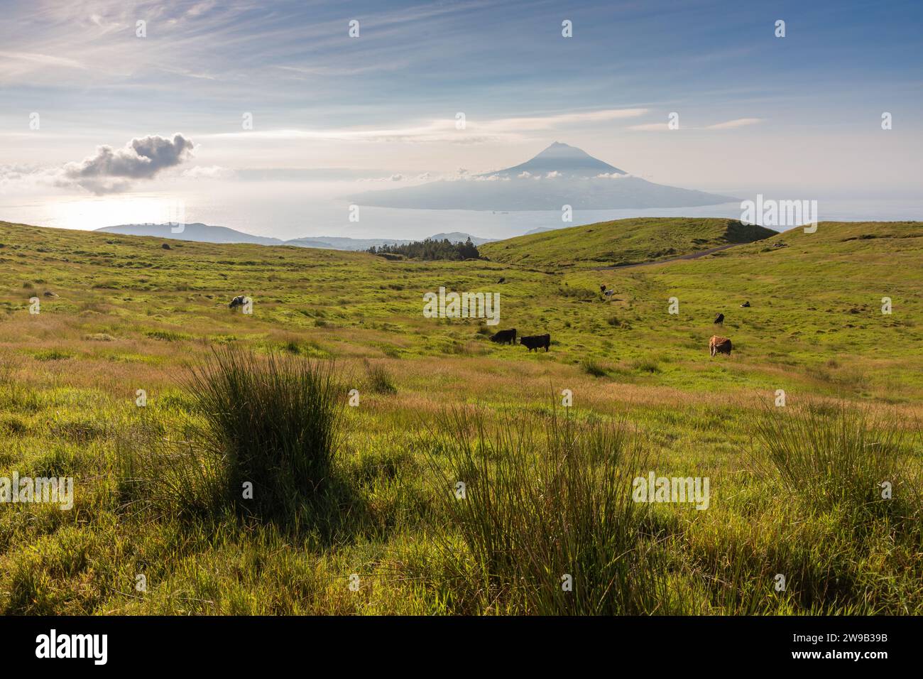 View into the crater of Caldeira do Faial, Azores Islands Stock Photo ...