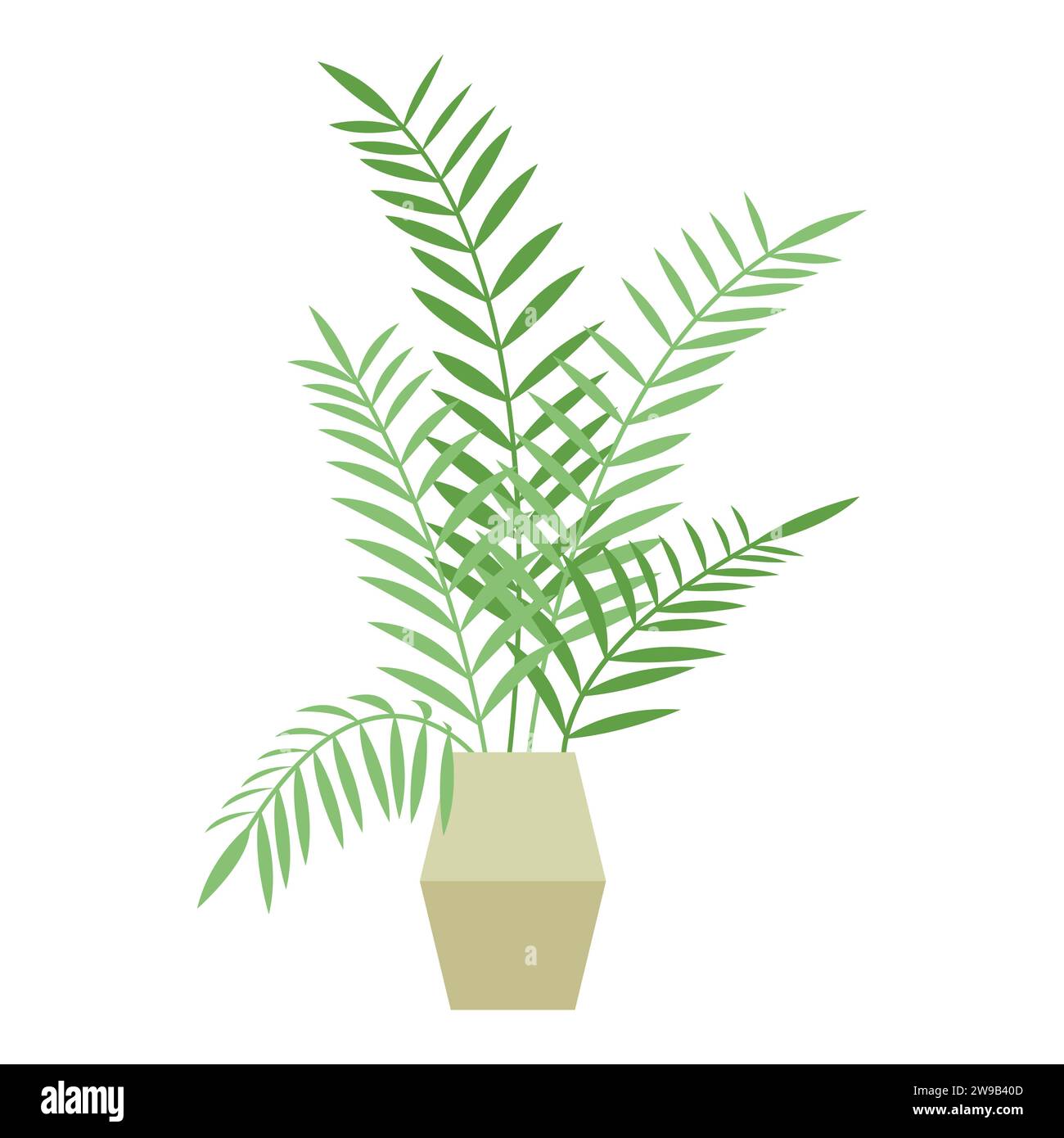Indoor plam houseplant. Tropical green botany plant in pot, greenery ...