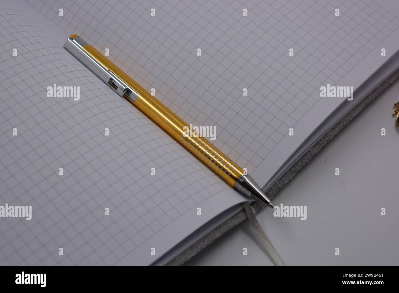 Very stylish, luxurious, velvet, grey notebook, business diary, book ...