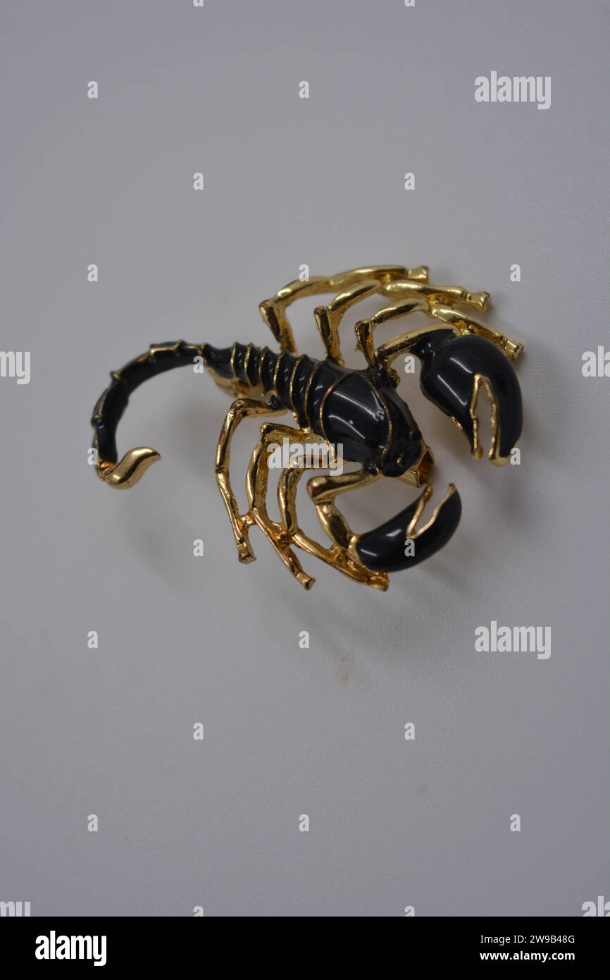 Women's costume jewelry, expensive beautiful jewelry, stylish brooch in ...