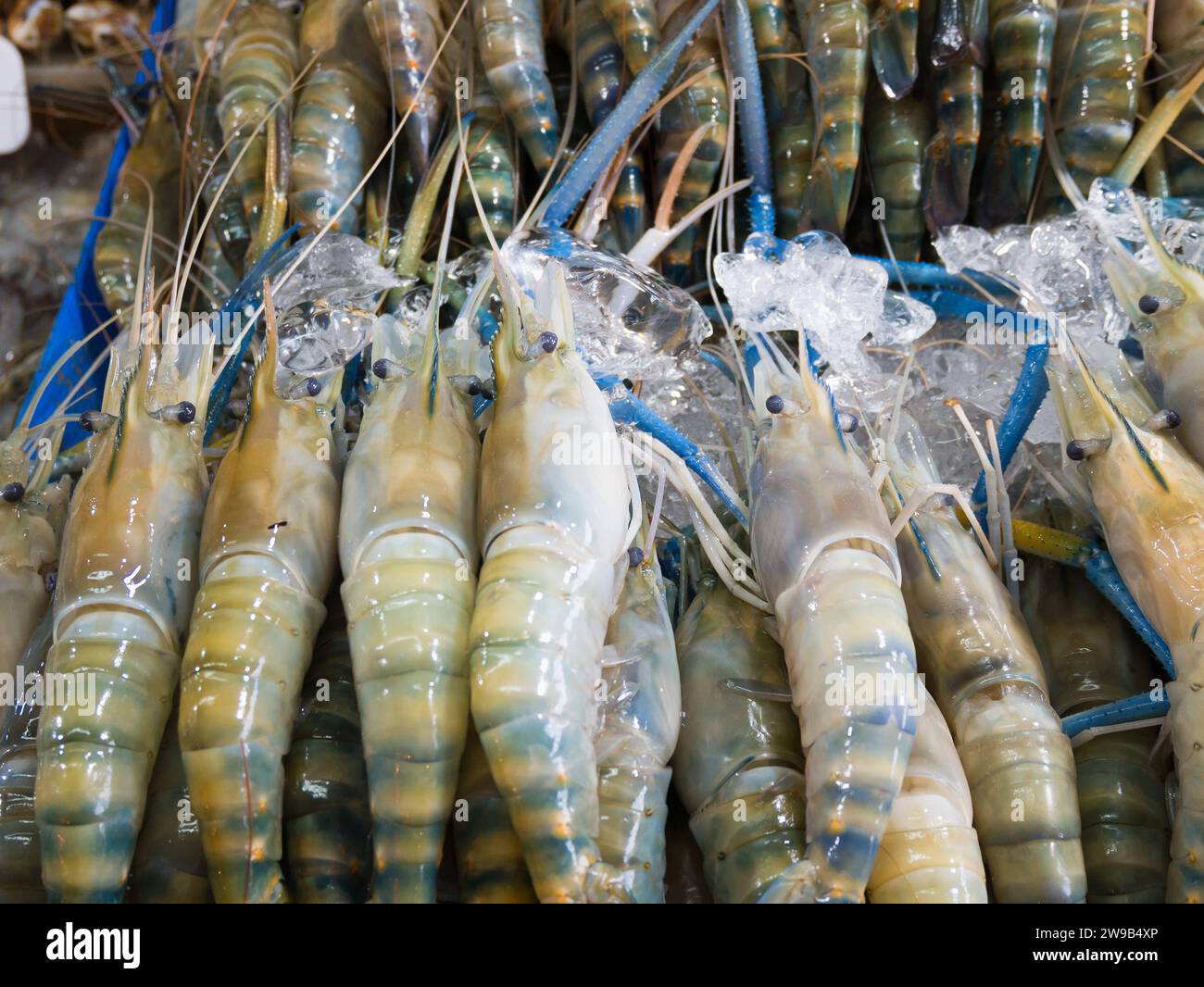 Fresh river prawns on ice in the market Stock Photo - Alamy