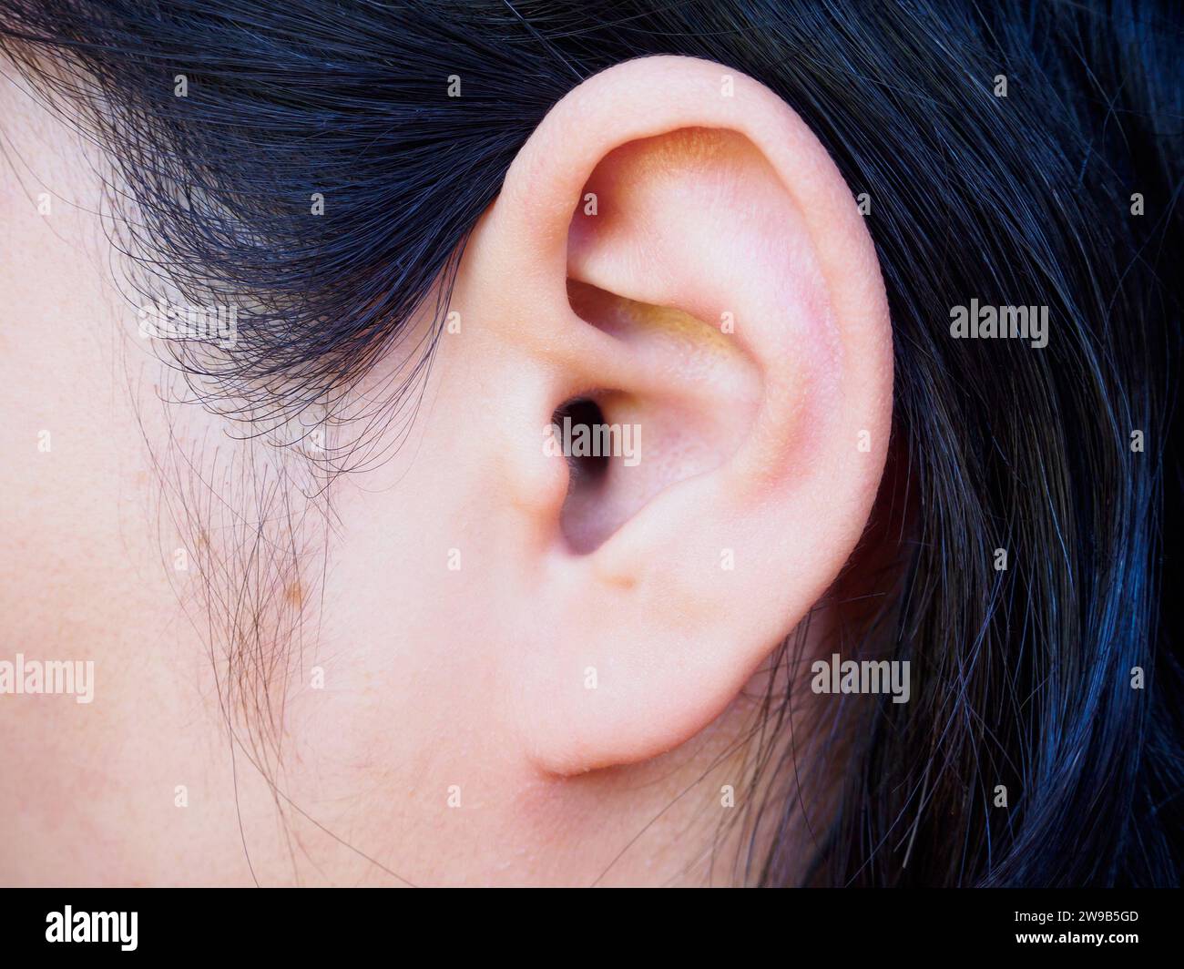 Human ear closeup Stock Photo - Alamy