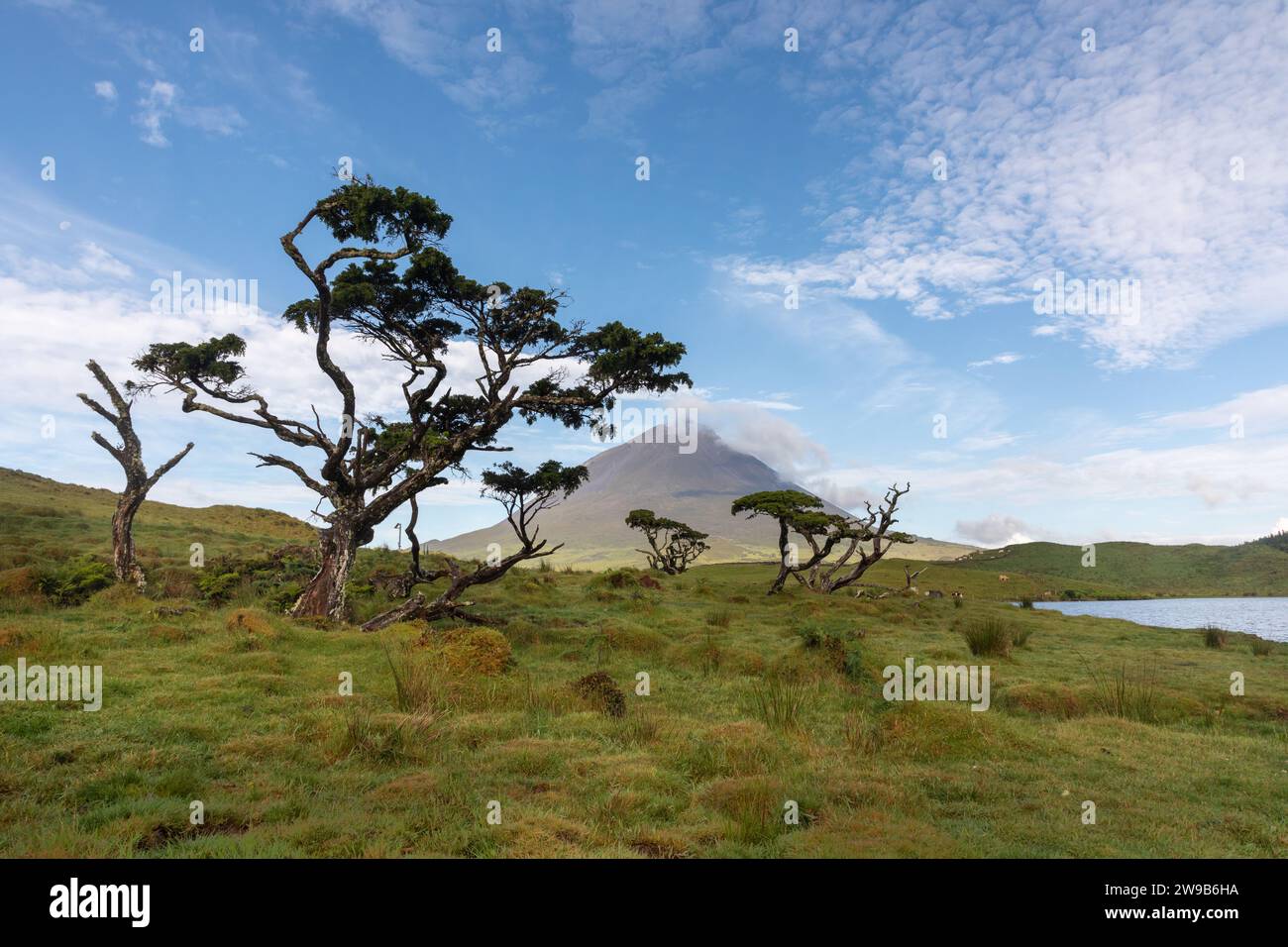 Azores pico sunshine hi-res stock photography and images - Alamy