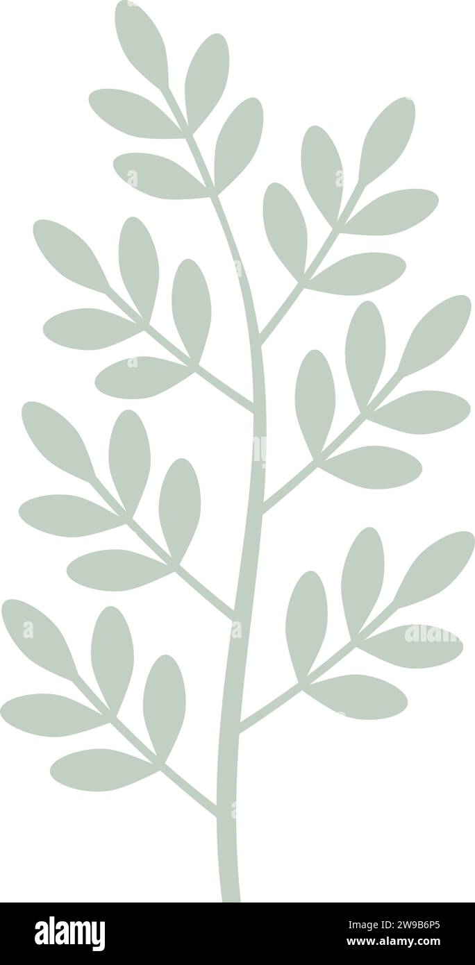 Leaf, plant with transparent background Stock Vector Image & Art - Alamy