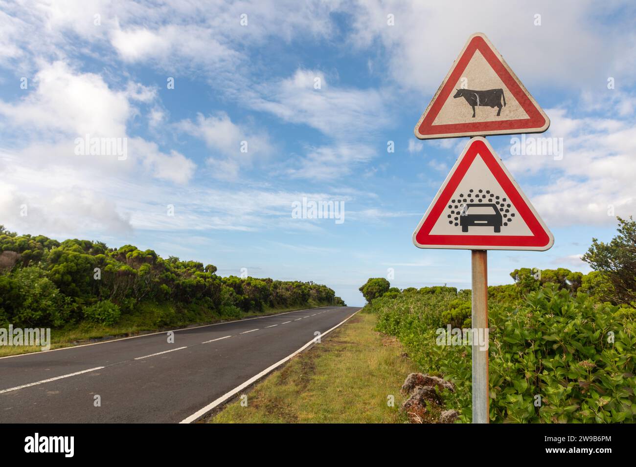 Road sign beware of cattle, Island of Pico, Azores Stock Photo - Alamy