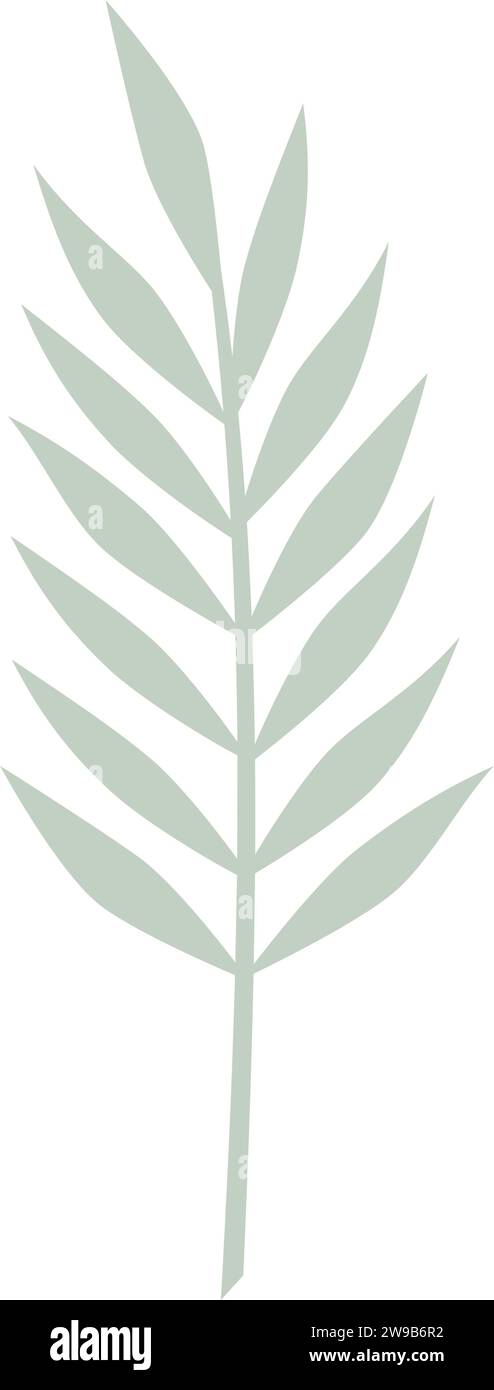 Leaf, plant with transparent background Stock Vector Image & Art - Alamy