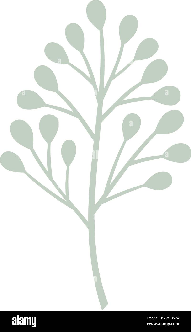 Leaf, plant with transparent background Stock Vector Image & Art - Alamy