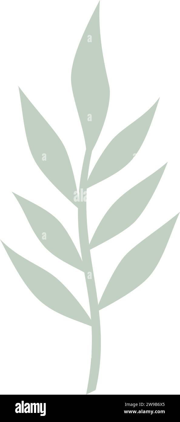 Leaf, plant with transparent background Stock Vector Image & Art - Alamy