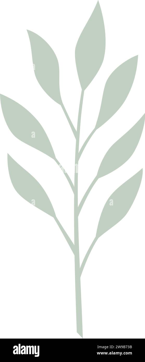 Leaf, plant with transparent background Stock Vector Image & Art - Alamy