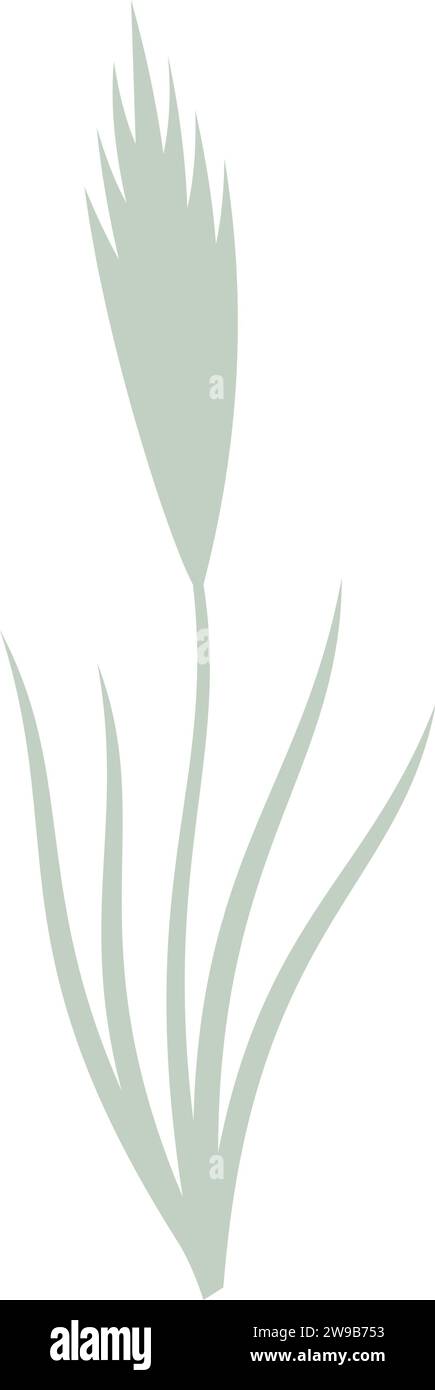 Leaf, plant with transparent background Stock Vector Image & Art - Alamy