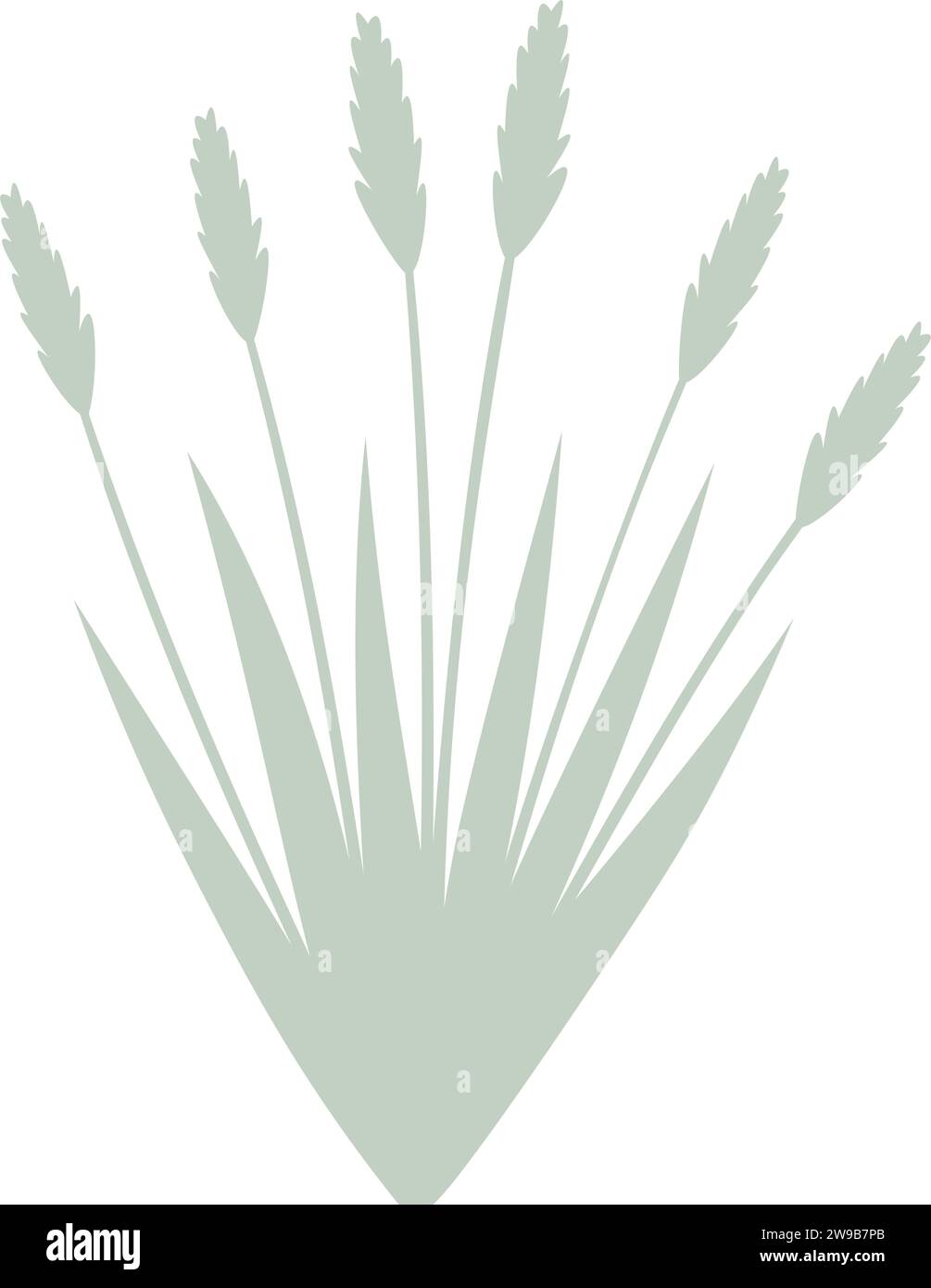 Leaf, plant with transparent background Stock Vector Image & Art - Alamy
