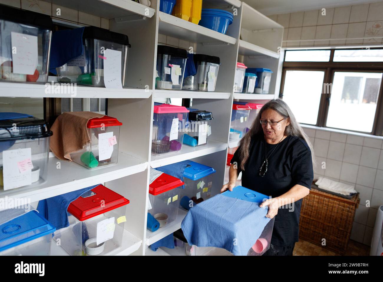 Deborah Pergolotti of Frogsafe Inc. carries a frog's holding container ...