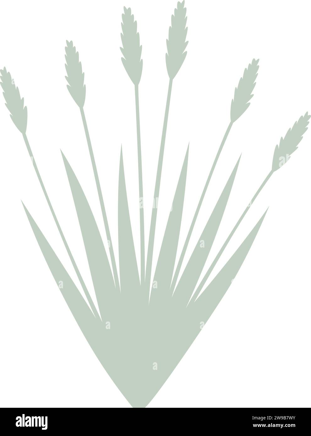 Leaf, plant with transparent background Stock Vector Image & Art - Alamy