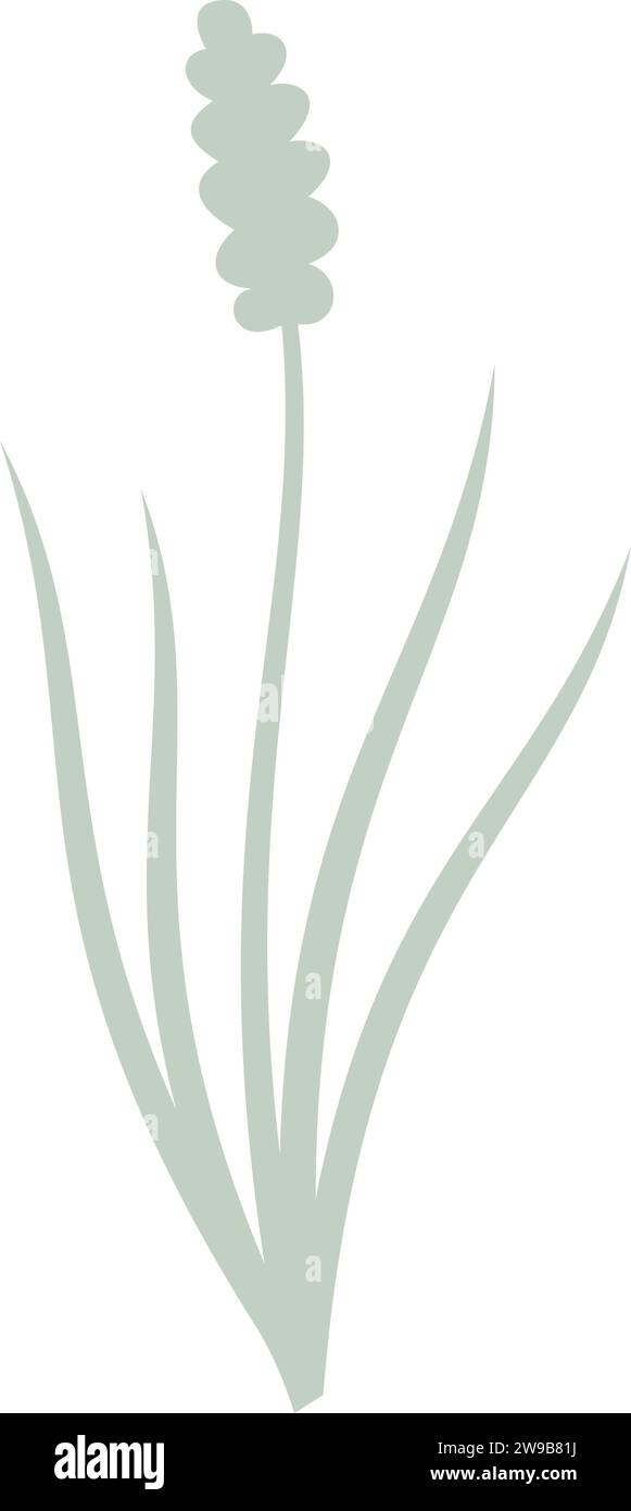 Leaf, plant with transparent background Stock Vector Image & Art - Alamy