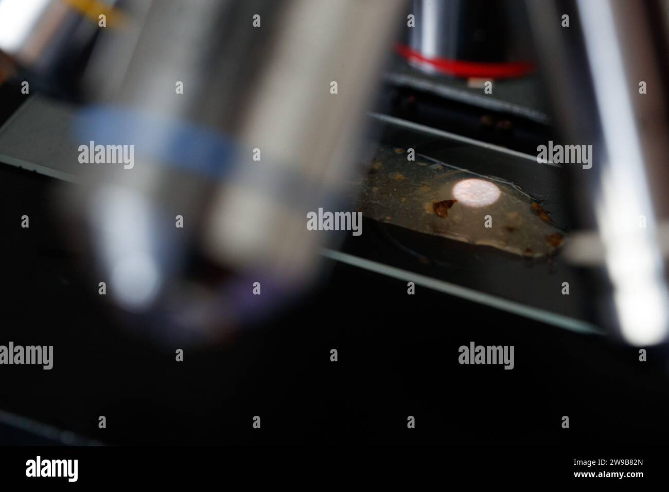 Animal droppings australia hi-res stock photography and images - Alamy