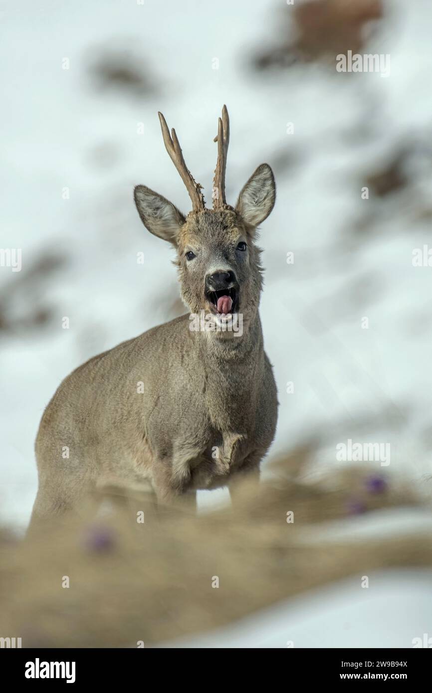 Emetting hi-res stock photography and images - Alamy