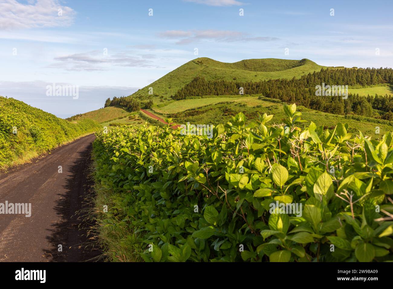 Walk along the volcanic craters of Sao Jorge Island, Azores, Portugal ...