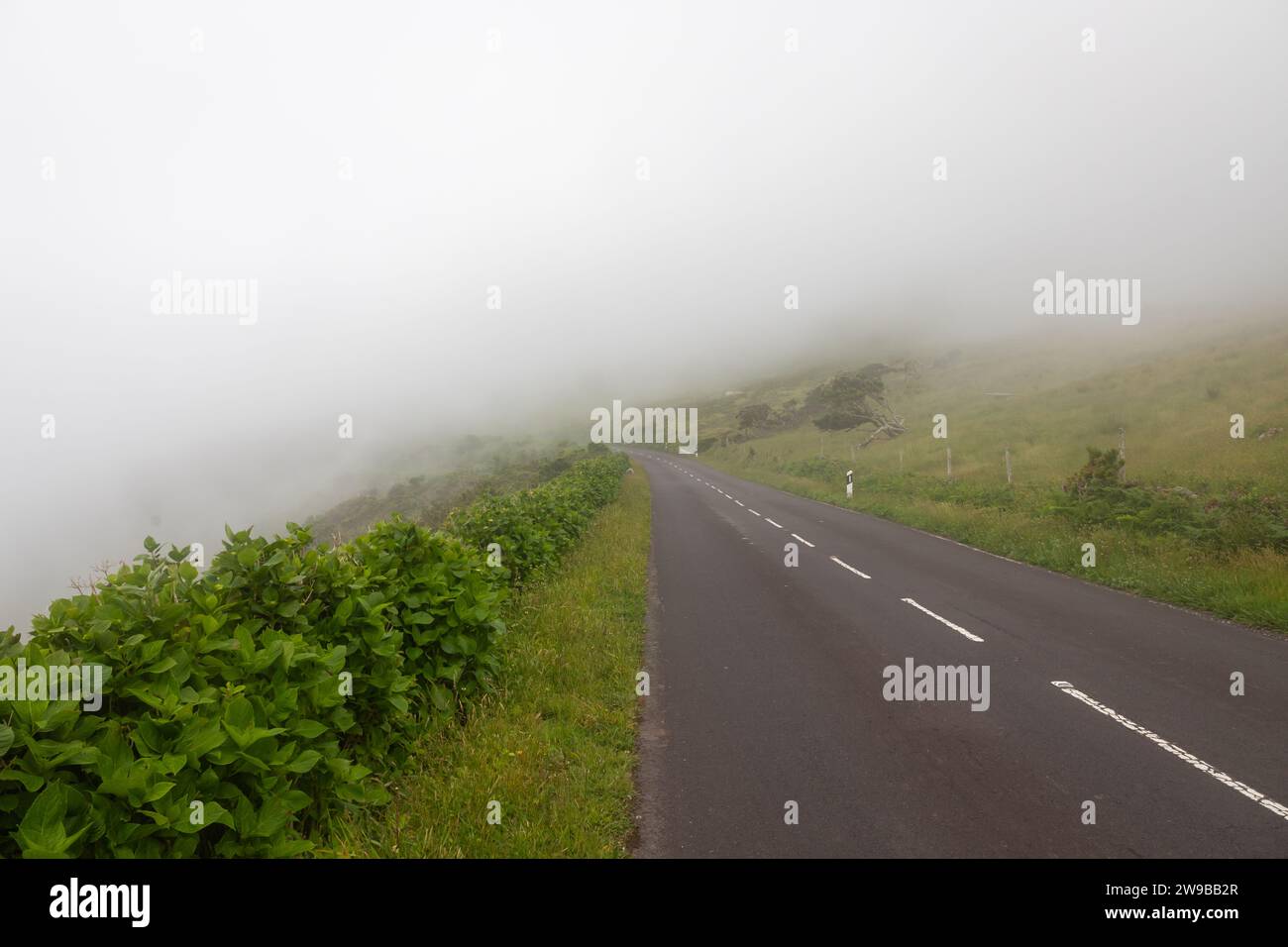Thick fog on a coastal road on Sao Jorge Island, Azores, Portugal Stock ...