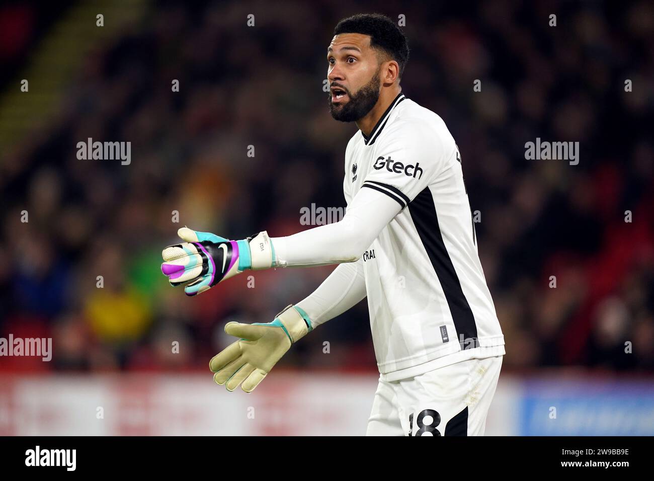 Sheffield United goalkeeper Wes Foderingham during the Premier League ...