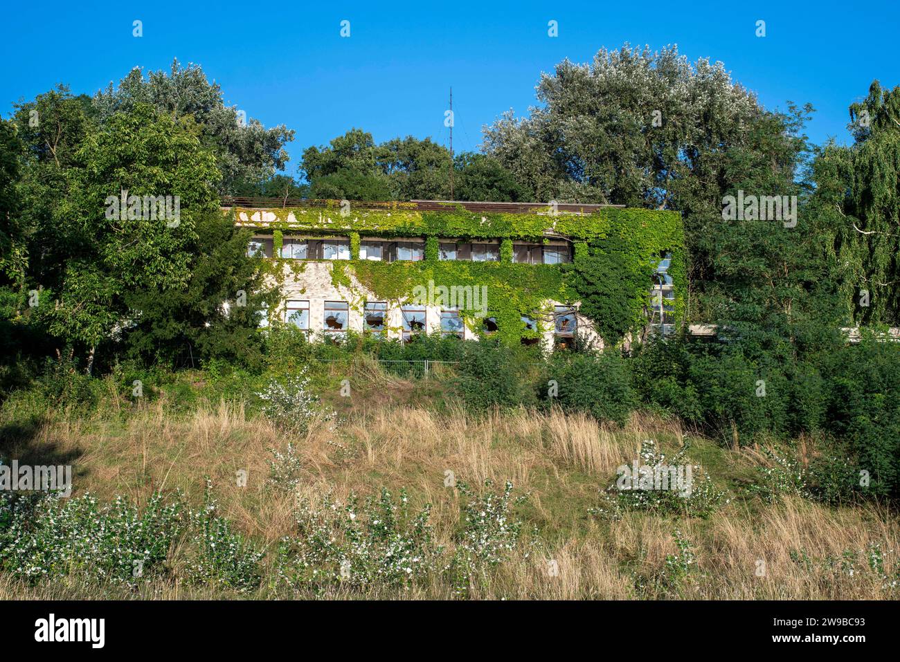 Balatonaliga hi-res stock photography and images - Alamy