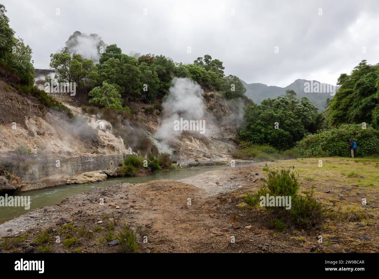 Caldeiras das Furnas, hot springs, Sao Miguel, Azores Stock Photo - Alamy