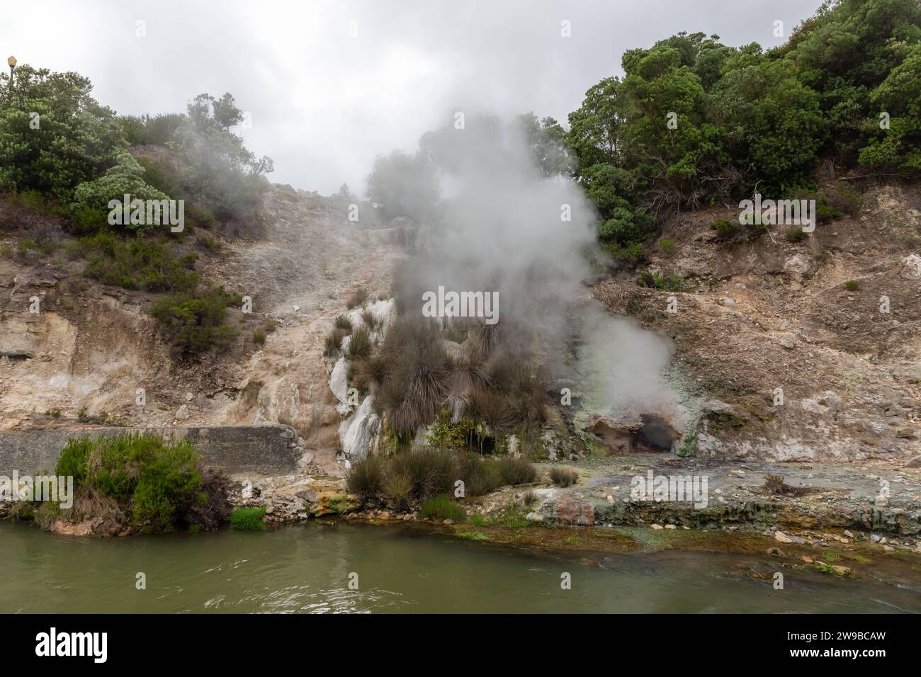 Caldeiras das Furnas, hot springs, Sao Miguel, Azores Stock Photo - Alamy
