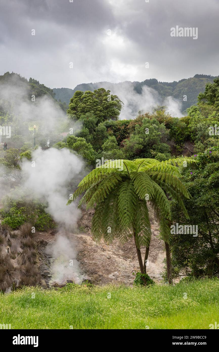 Caldeiras das Furnas, hot springs, Sao Miguel, Azores Stock Photo - Alamy