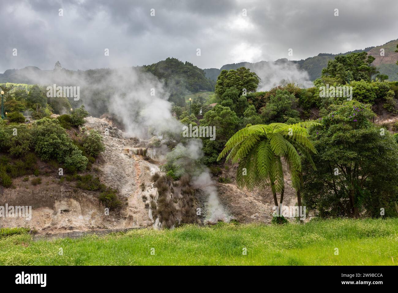 Caldeiras das Furnas, hot springs, Sao Miguel, Azores Stock Photo - Alamy