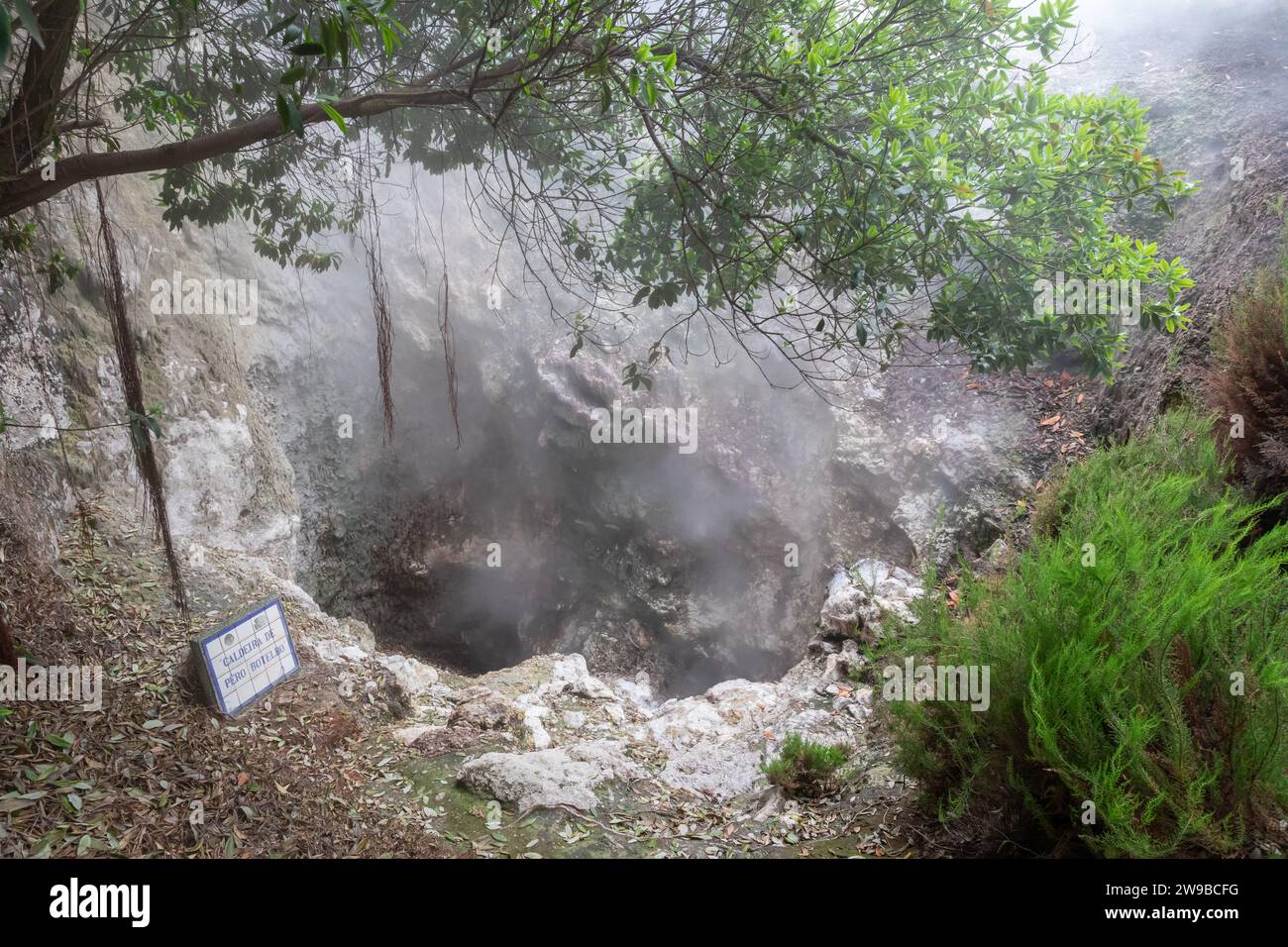 Caldeiras das Furnas, hot springs, Sao Miguel, Azores Stock Photo - Alamy