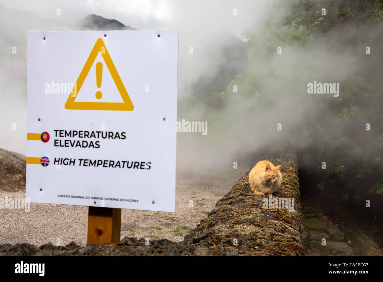 Caldeiras das Furnas, hot springs, Sao Miguel, Azores Stock Photo - Alamy