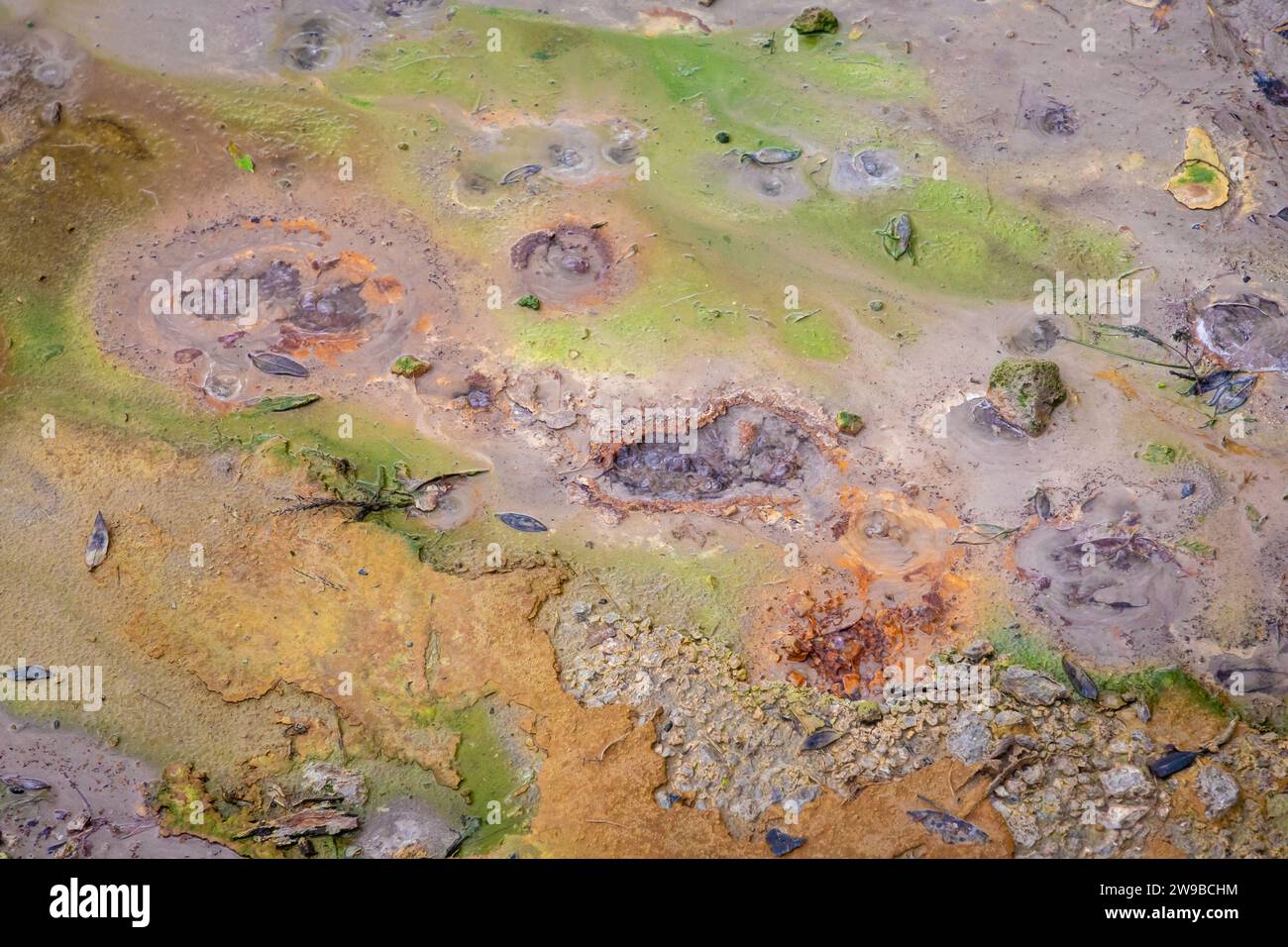 Caldeiras das Furnas, hot springs, Sao Miguel, Azores Stock Photo - Alamy