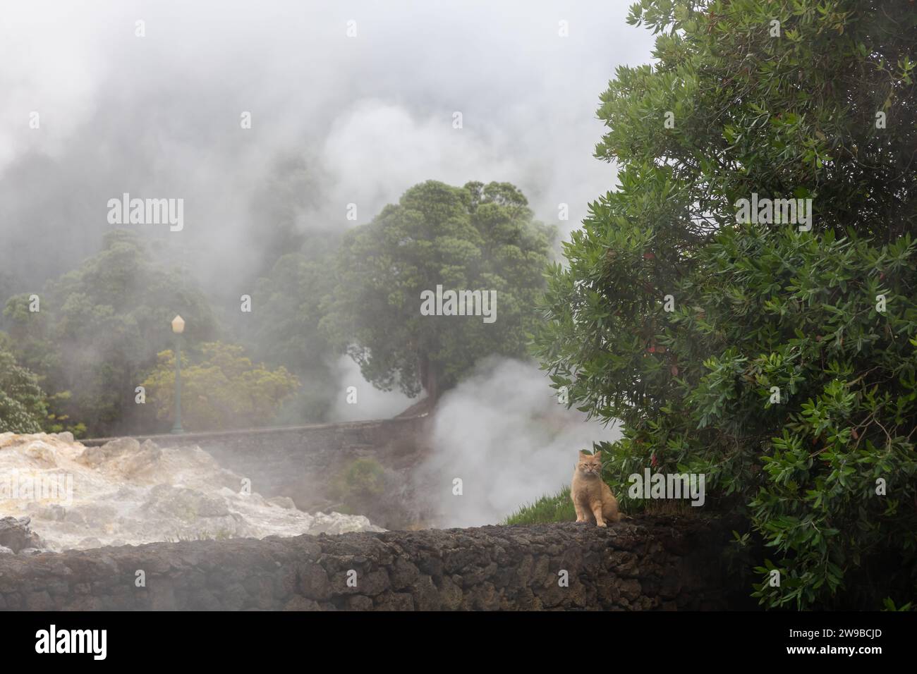 Caldeiras das Furnas, hot springs, Sao Miguel, Azores Stock Photo - Alamy