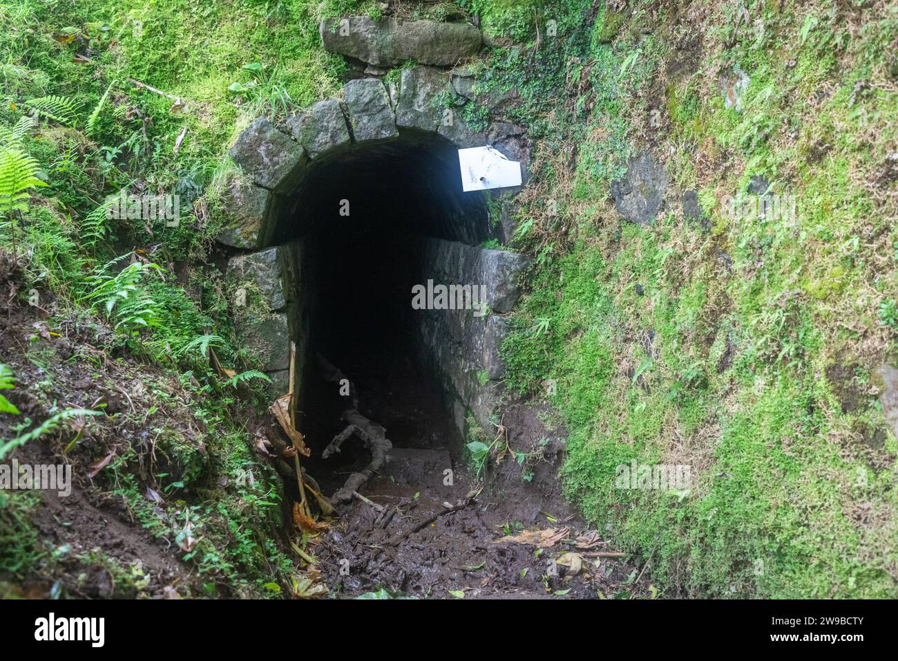 Entrance of a tunnel, historic irrigation system on Sao Miguel, Azores ...
