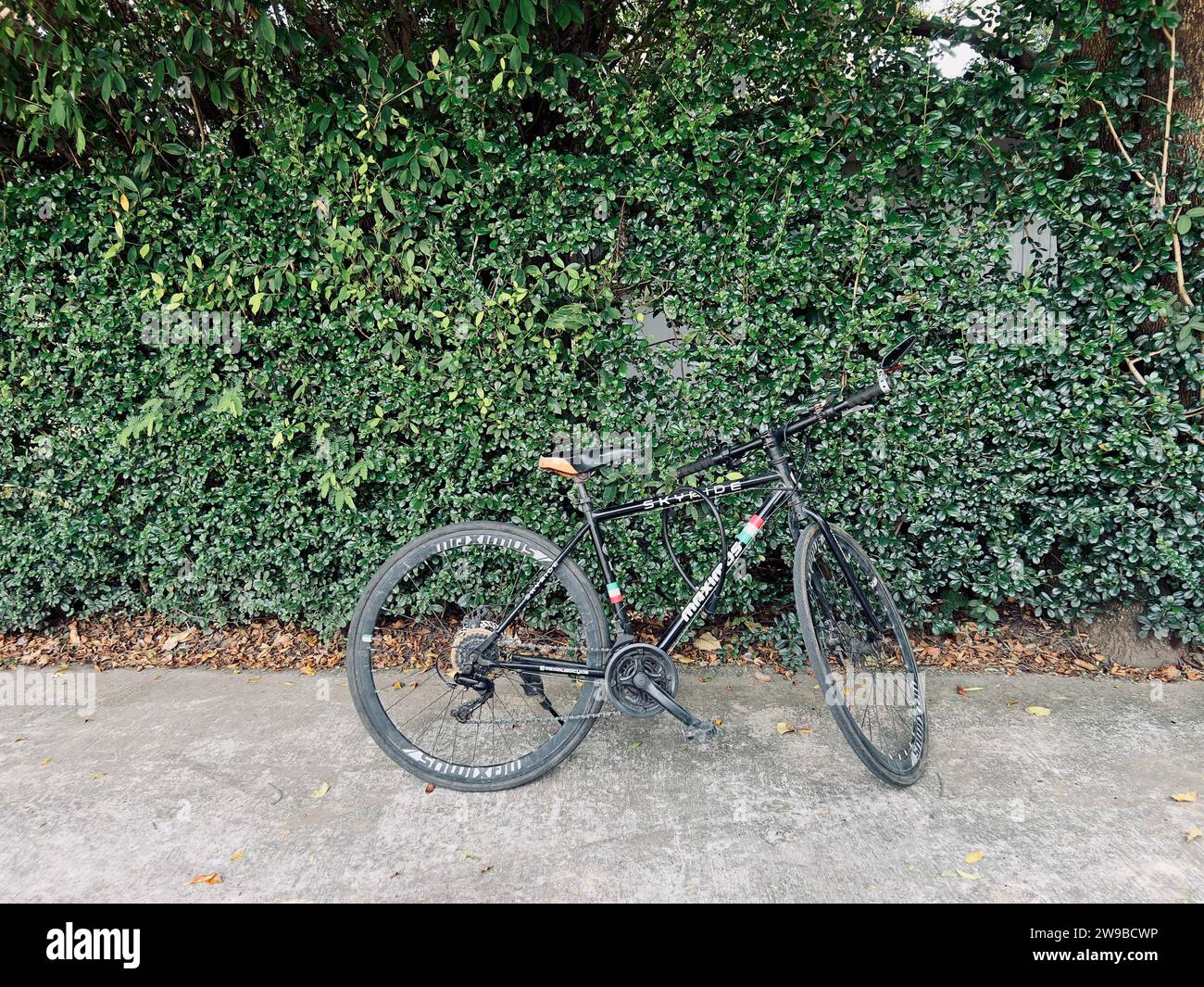 Skyride adventure hi-res stock photography and images - Alamy