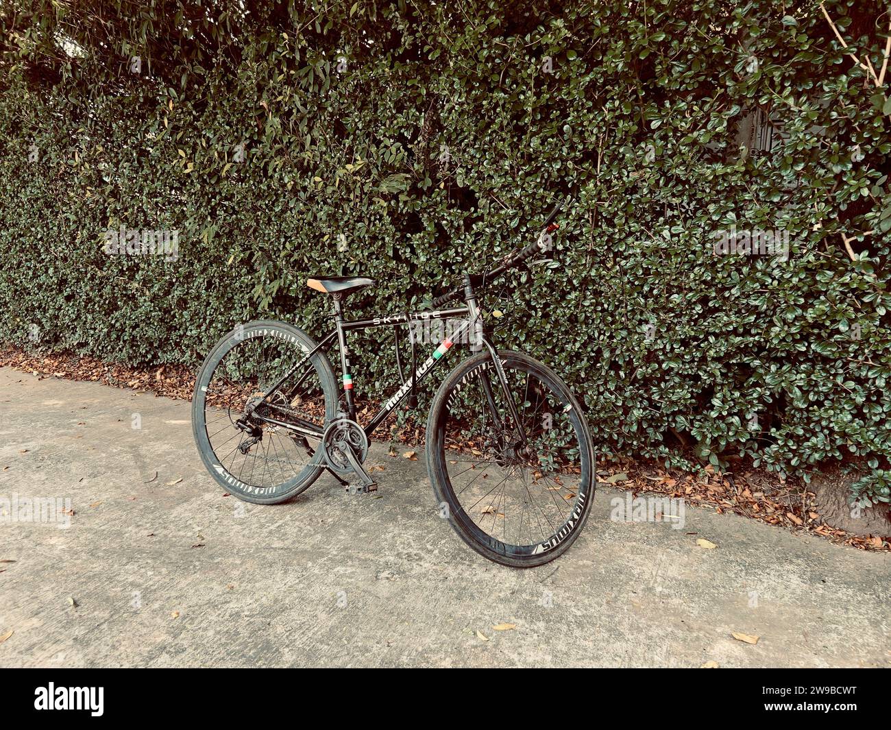 Skyride adventure hi-res stock photography and images - Alamy