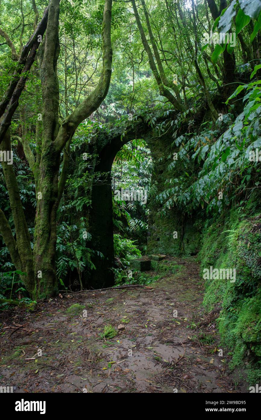 Walking path along historic irrigation system, Sao Miguel, Azores Stock ...