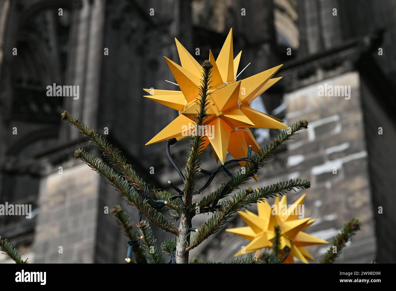 Stern an der Spitze eines Weihnachtsbaum, Christbaum *** Star at the ...
