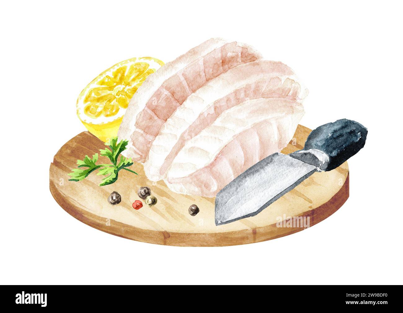 Fish Codfish raw fillet. Hand drawn watercolor illustration, isolated ...