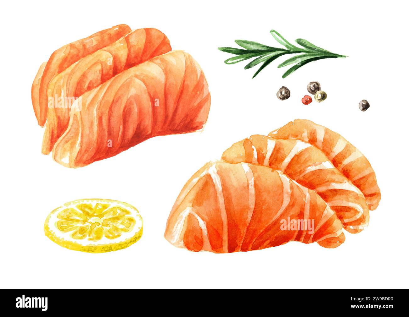 Fish Salmon raw fillet set. Hand drawn watercolor illustration ...