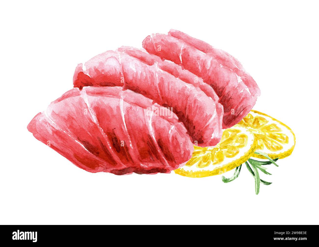 Fish Tuna raw fillet. Hand drawn watercolor illustration, isolated on ...